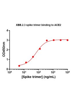 SARS-CoV-2 XBB.2.3 Omicron Variant Recombinant Spike Trimer His Tag | Abwiz Bio