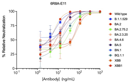 SARS-CoV-2 6R8A-E11 human neutralizing mAb | Abwiz Bio