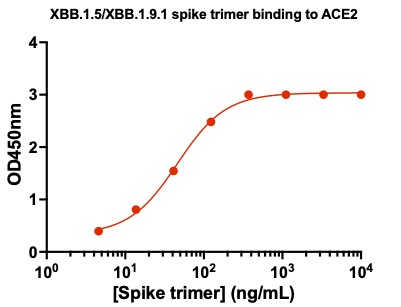 SARS-CoV-2 XBB.1.5 Omicron Variant Recombinant Spike Trimer His Tag | Abwiz Bio
